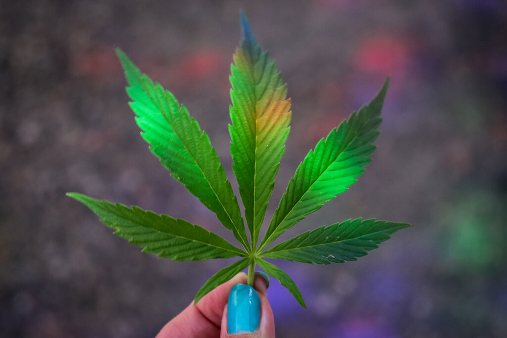 How will decriminalization of marijuana affect Florida’s criminal ...